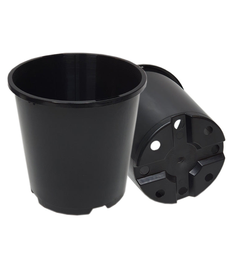 Pot 150mm Standard 2Ltr
